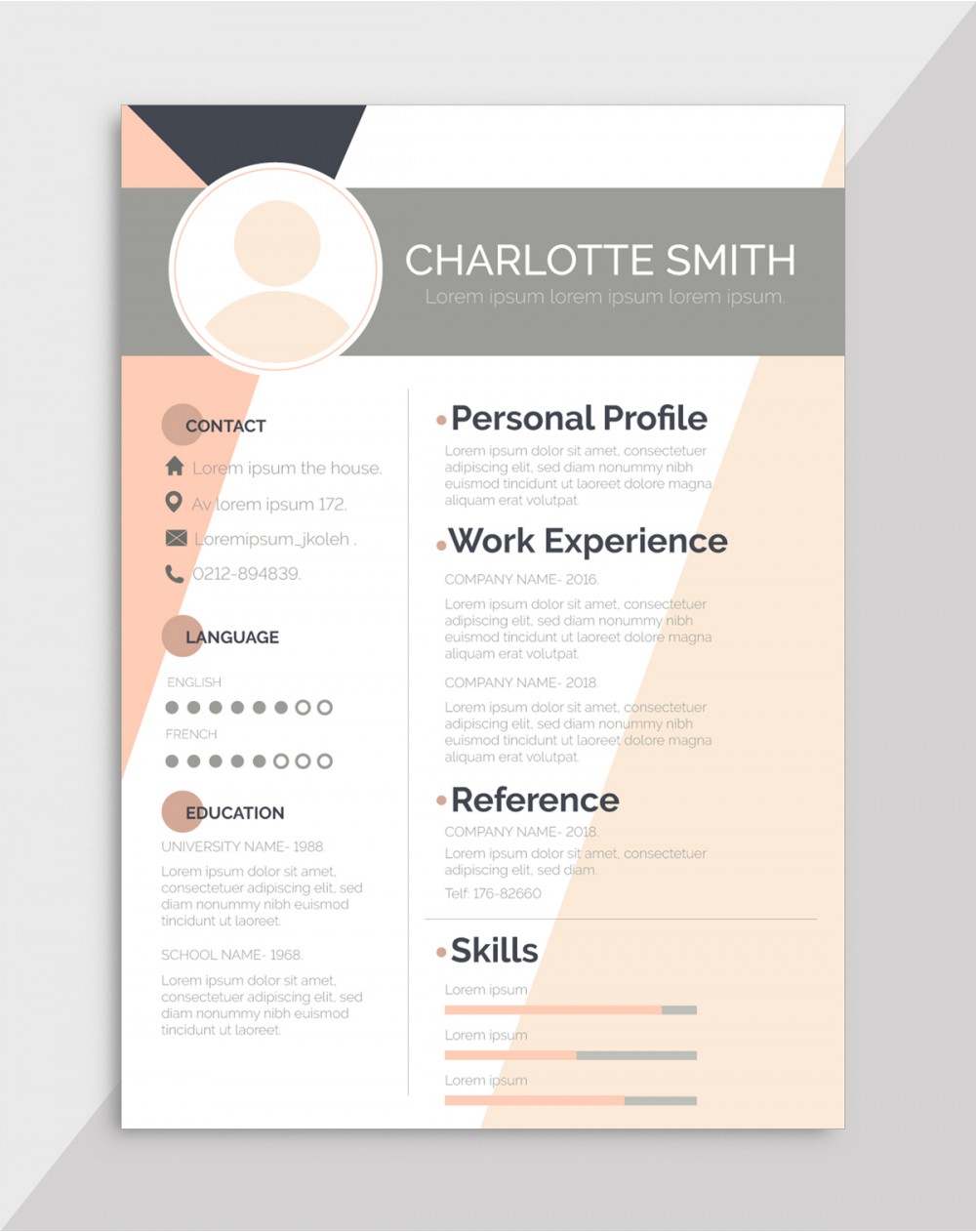 Ready Resume Template - InfoGraphic CV
